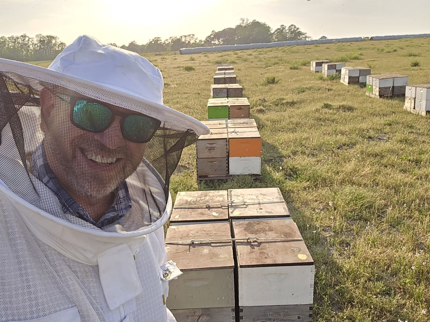 Big Creek Bees in Forsyth County provides entry point for those ...
