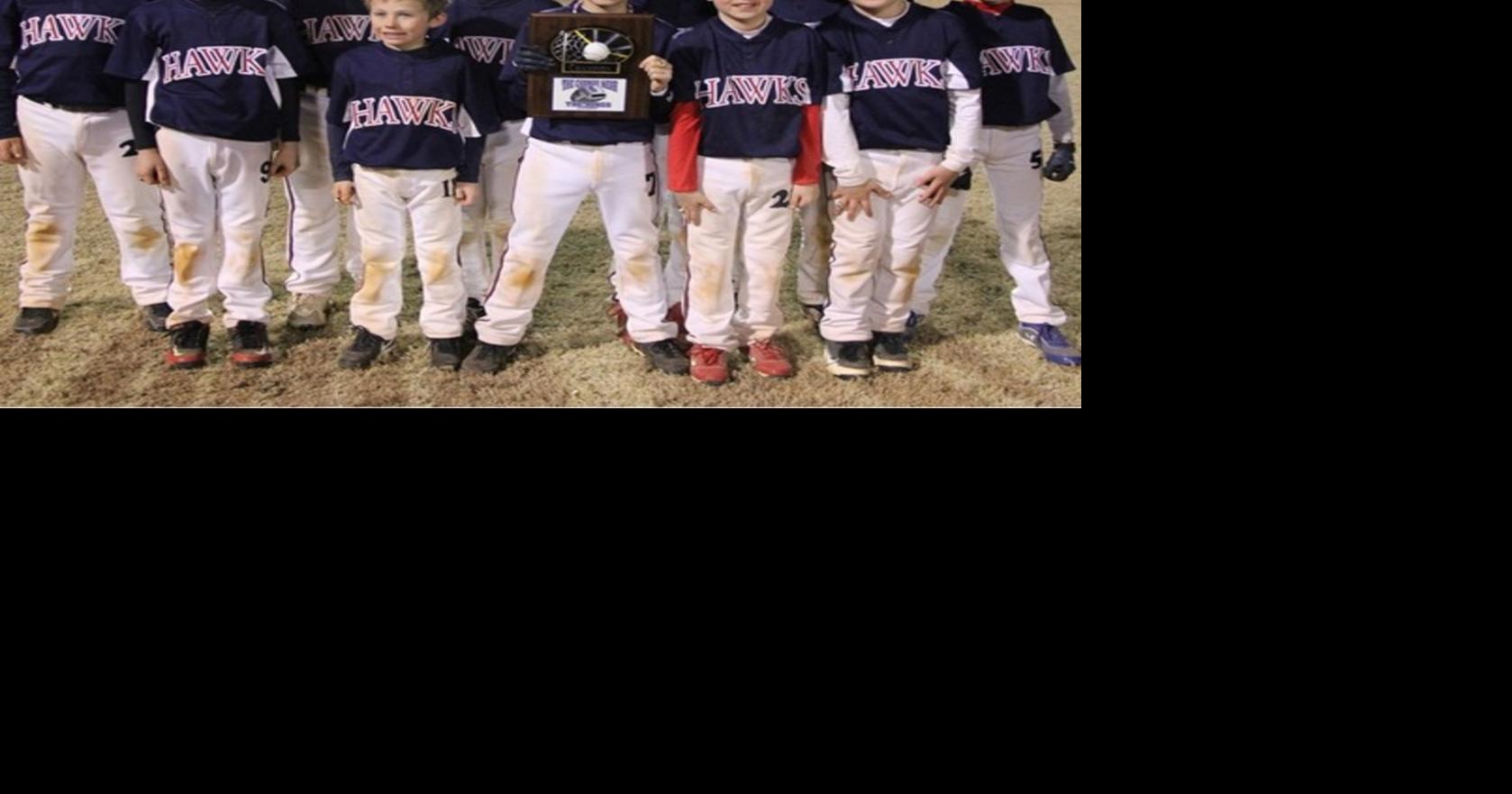 10U Hopewell Hawks from Milton win Champs Wear the Rings tournament ...