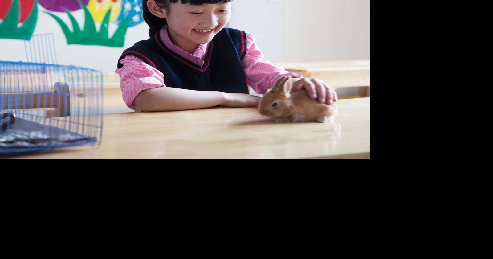 How animals assist human teaching | Archives | appenmedia.com