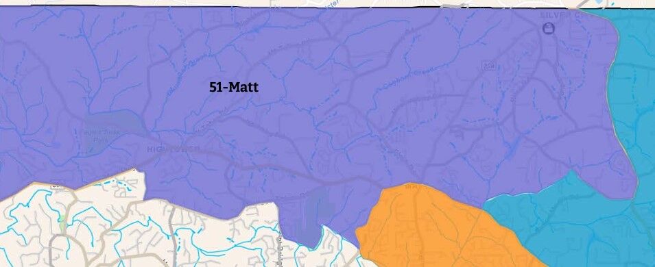 See new Forsyth County precinct lines for 2024 election cycle | Forsyth ...
