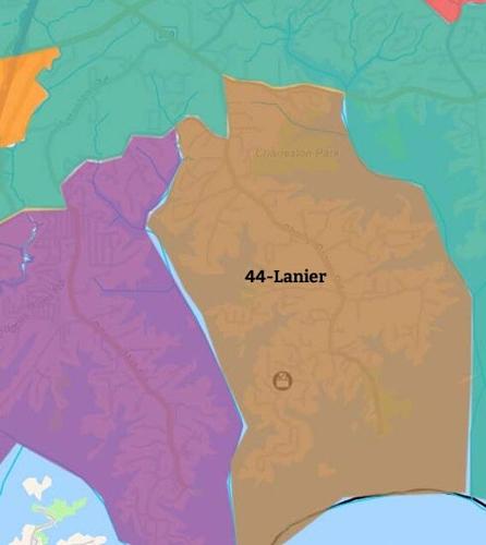 See new Forsyth County precinct lines for 2024 election cycle | Forsyth ...