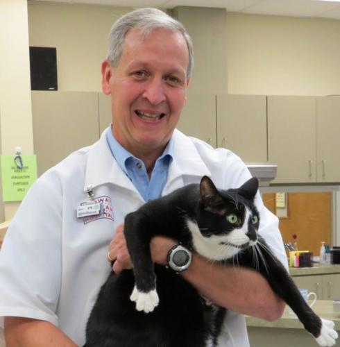 Midway Animal Hospital celebrates 20 years in Forsyth County | Archives ...