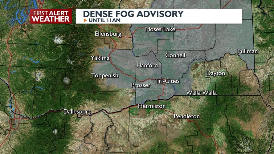 First Alert Weather - Dense AM fog followed by some sun, then evening ...