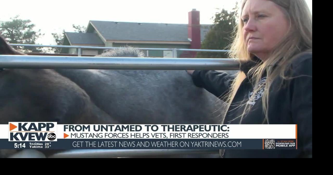 From underdogs to healers: Mustang Forces uses equine therapy to help ...