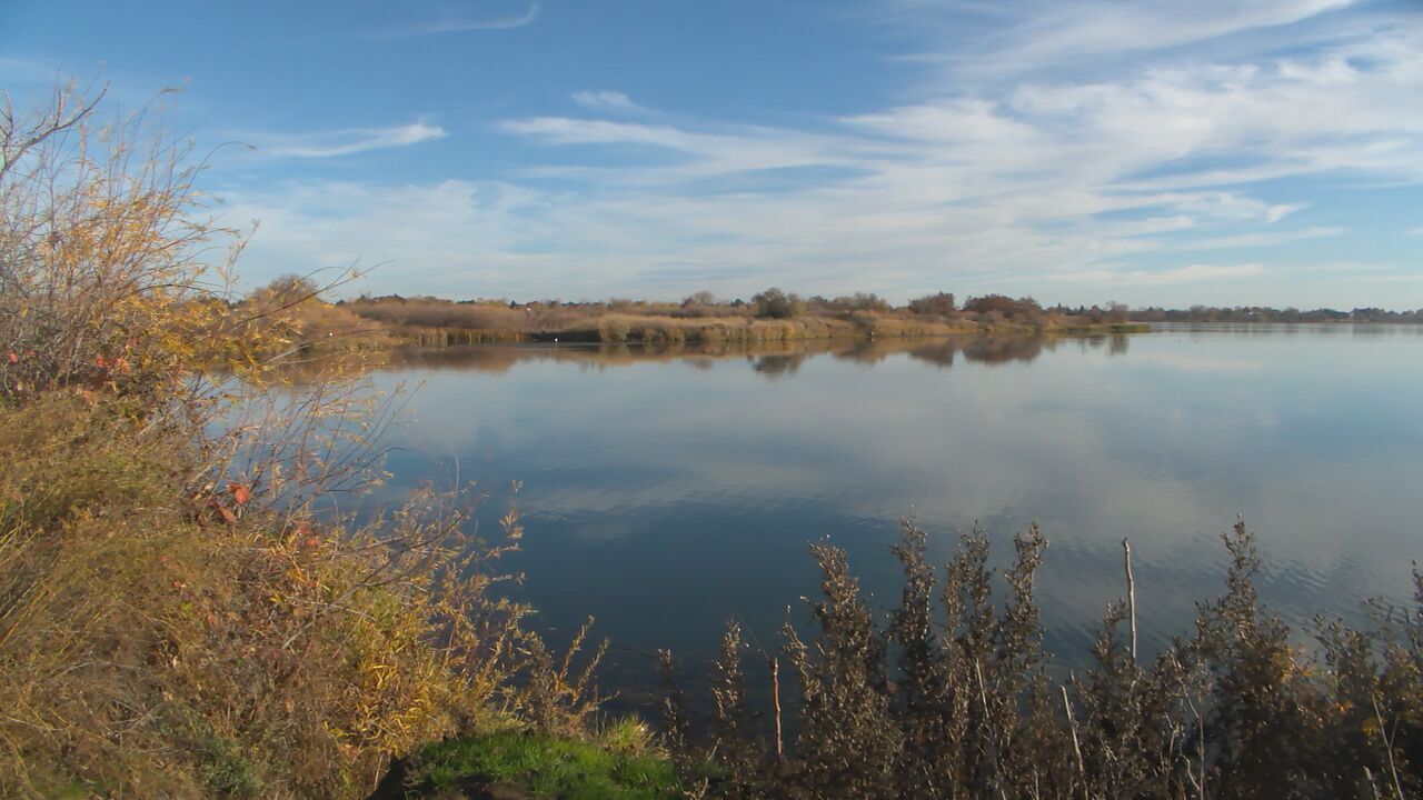 Bateman Island causeway removal to begin in December as part of salmon ...