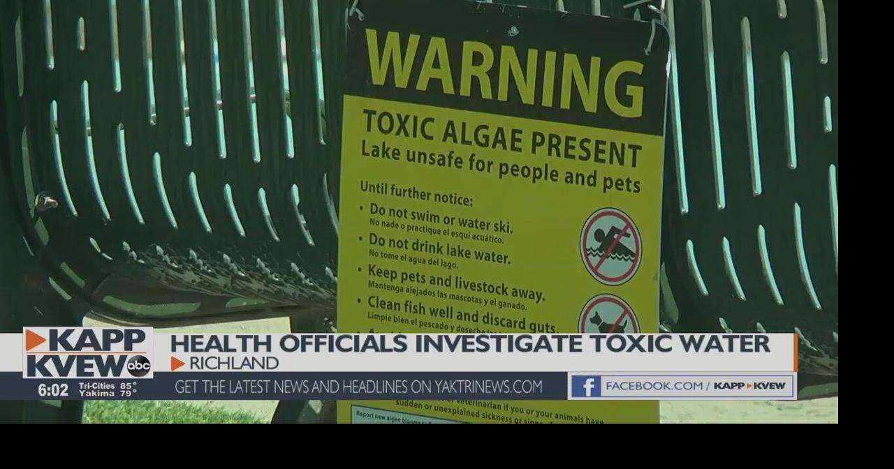 One dog dies, two recovered from potentially toxic algae in Columbia ...