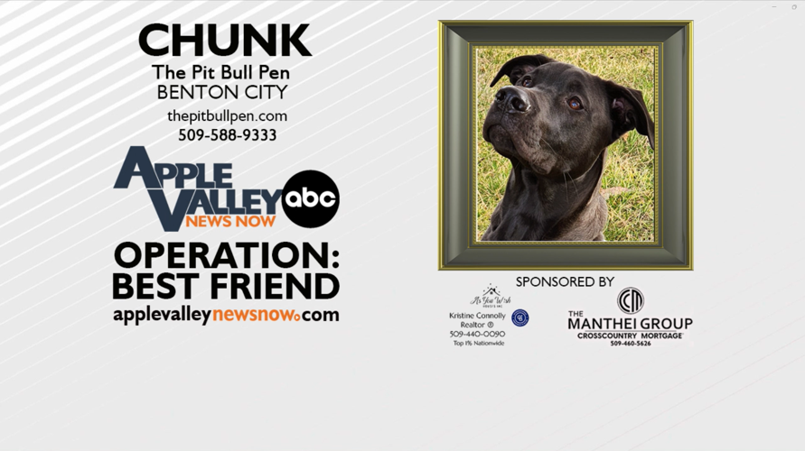 Operation Best Friend: Meet Chunk! | Operation Best Friend ...