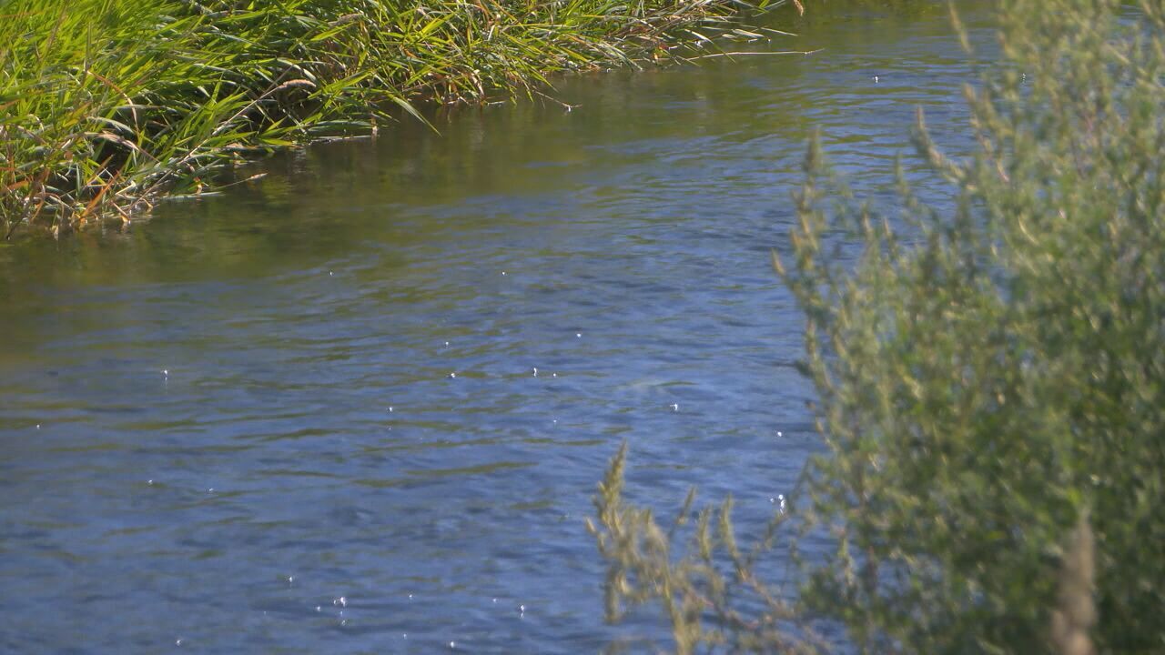 Major water storage project proposed for Yakima Basin as part of ...