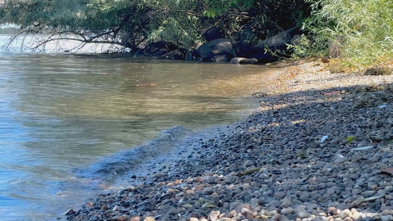 Washington state develops drought insurance program to help farmers ...