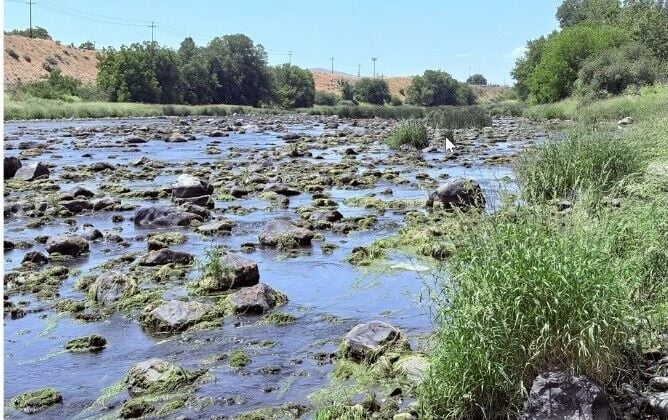 Department of Ecology orders halt to water use due to historic drought ...