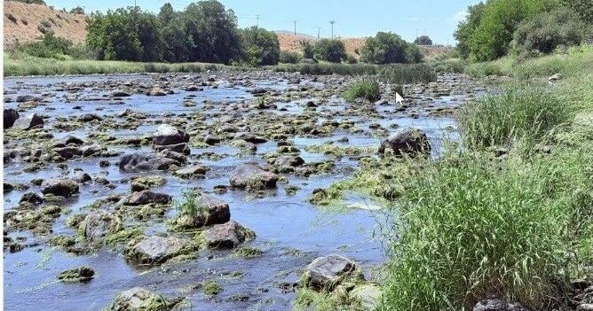 Kennewick water officials say low river levels won’t affect irrigation service | News ...