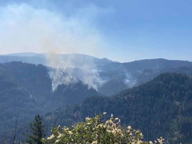 Green Ridge Fire 10% contained across 330+ acres of Umatilla National ...