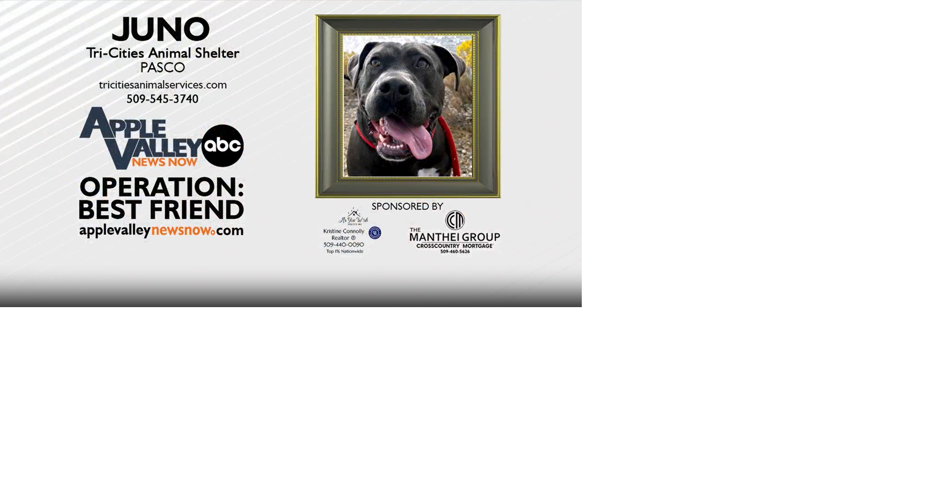 Operation Best Friend: Meet Juno! | Features | applevalleynewsnow.com