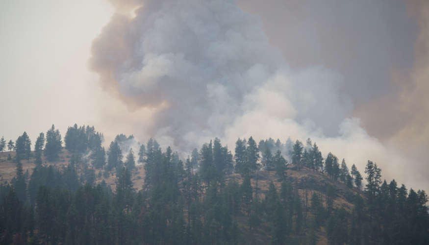 Battle Mountain Complex Fire | News | applevalleynewsnow.com