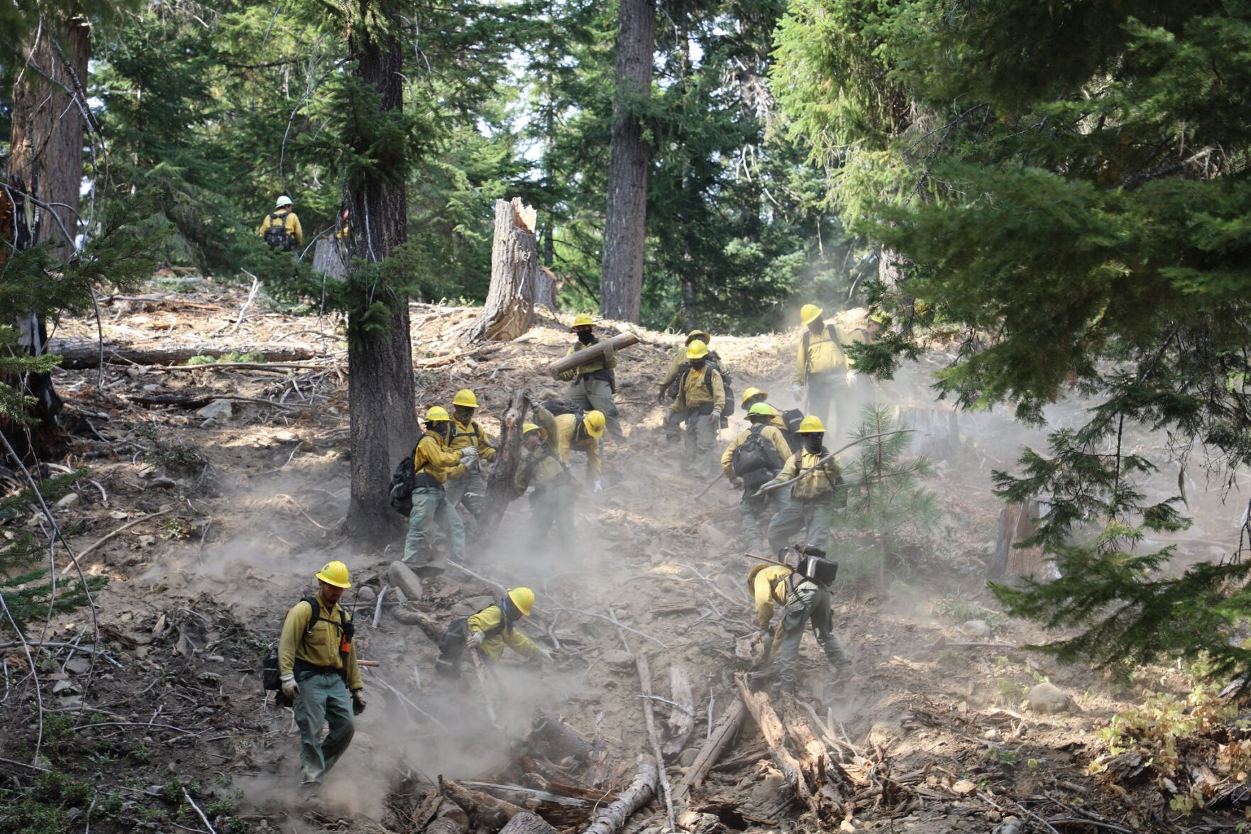 Firefighters at Wildcat Fire preparing for warmer, drier weather | News ...
