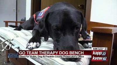 GO TEAM Therapy Dogs | News | applevalleynewsnow.com