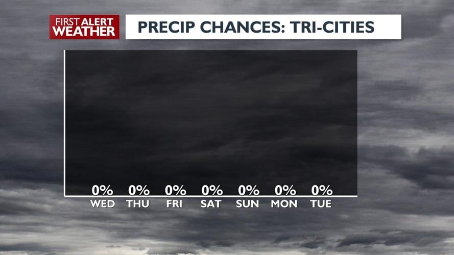 Another cold and gloomy forecast for Wednesday | News ...