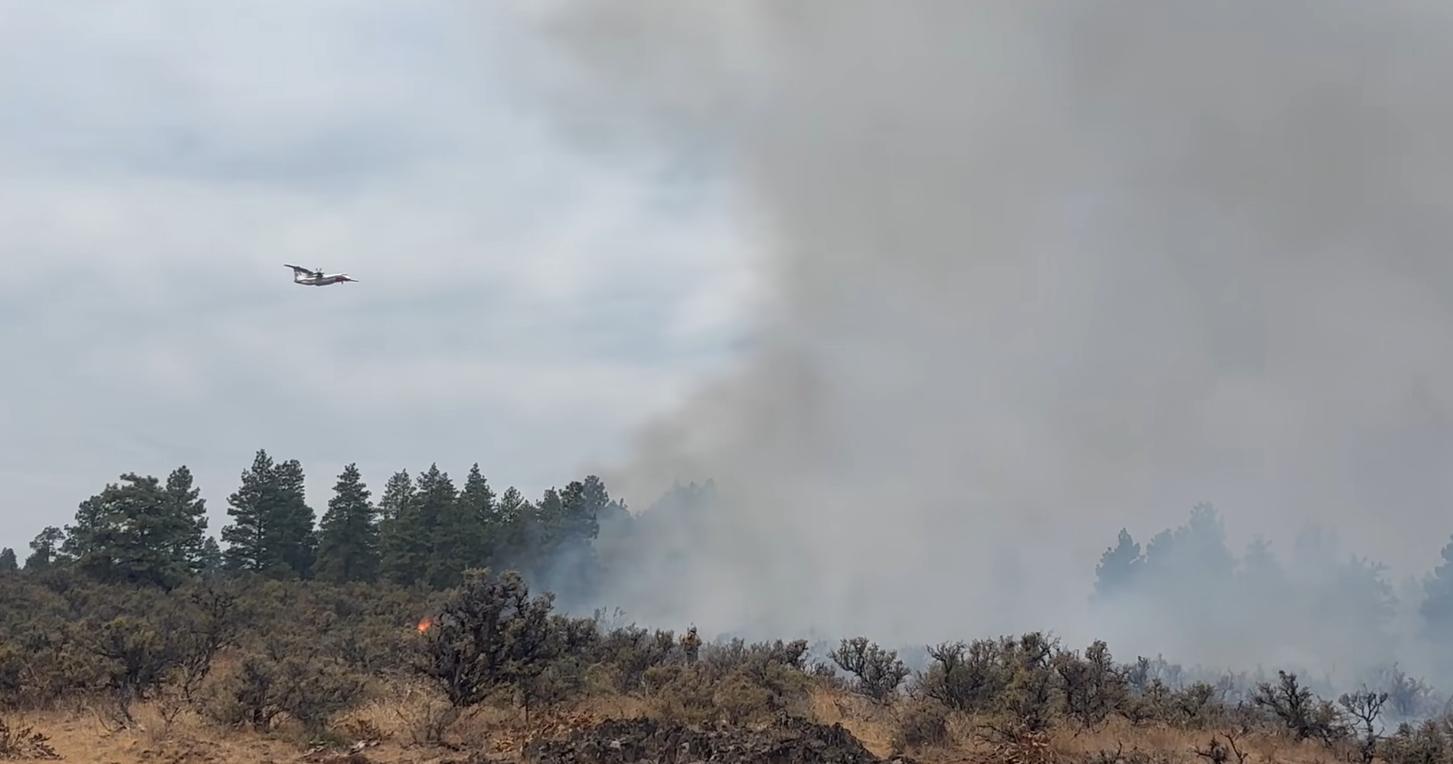Officials seeking public’s help to identify cause of fire south of ...
