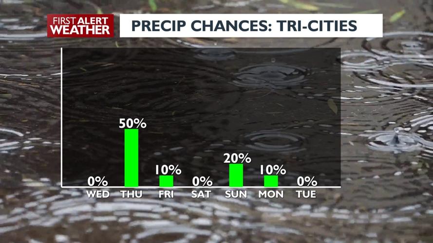 Dense foothill fog Wednesday & Thursday mornings, rain likely Thursday ...