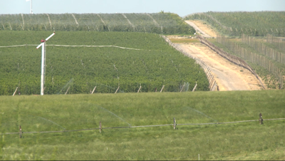 Beyond the flames: Yakima Valley fires put fruit growers' crops and ...