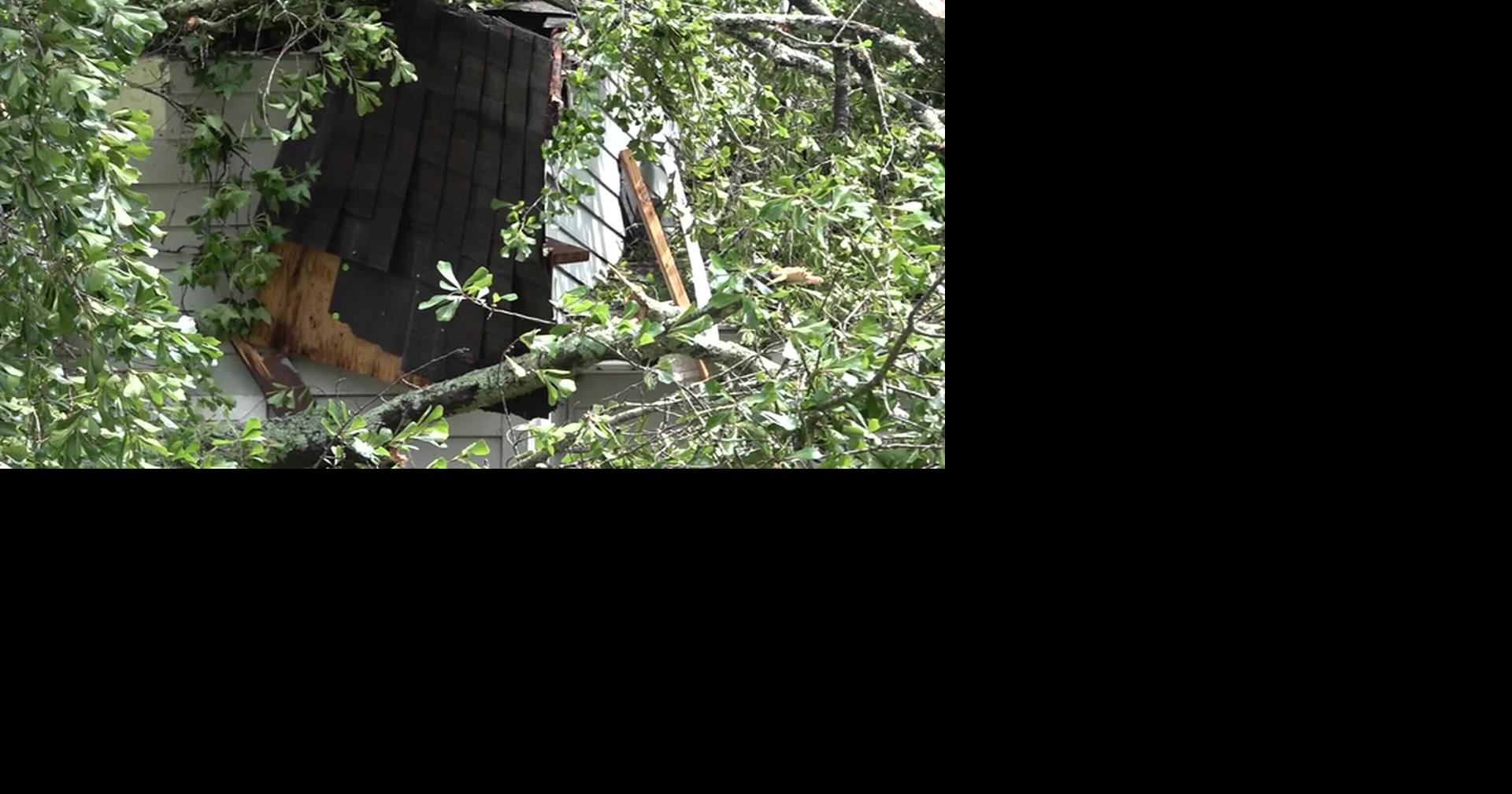 GA: TREE CRASHES THROUGH PERRY HOME | National News ...