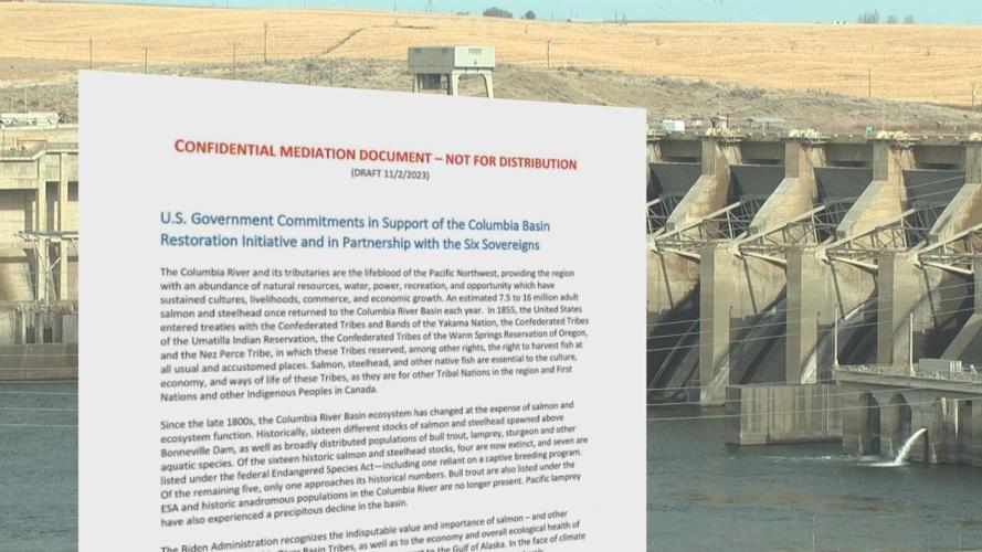 Despite rumors, 'confidential' Snake River mediation draft doesn't call ...