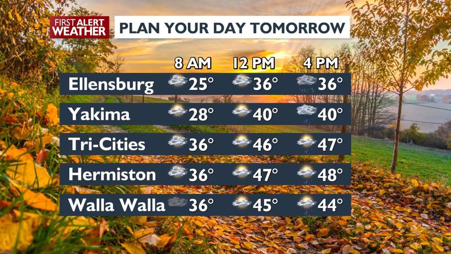 Storm System Approaching Northwest Coast with Hurricane-Force Winds and ...