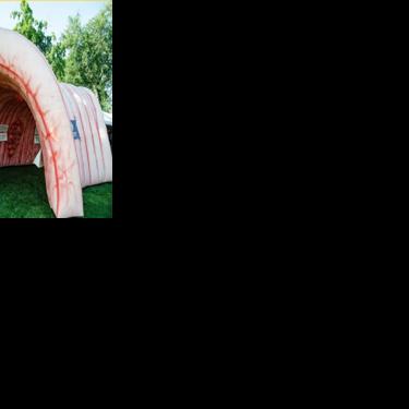 ‘Strollin’ Through A Colon’: Free Kennewick event brings awareness to ...