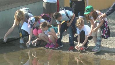 Elementary Students Will Release Salmon Into The Columbia River At