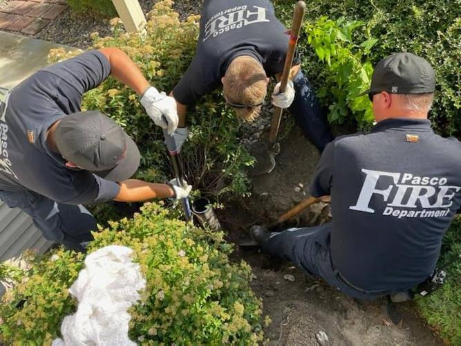 Pasco Fire Department digs cat out from deep within PVC pipe | Local ...