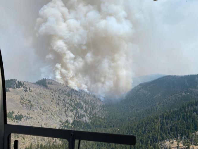 Schneider Springs Fire surpasses 75k acres; reaches 8% containment ...