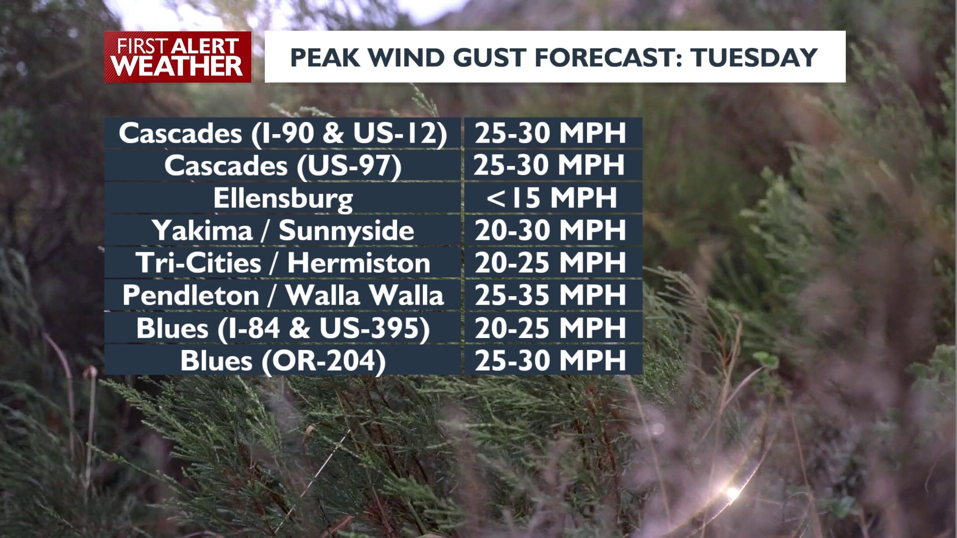 Tuesday's Wind Forecast | | applevalleynewsnow.com