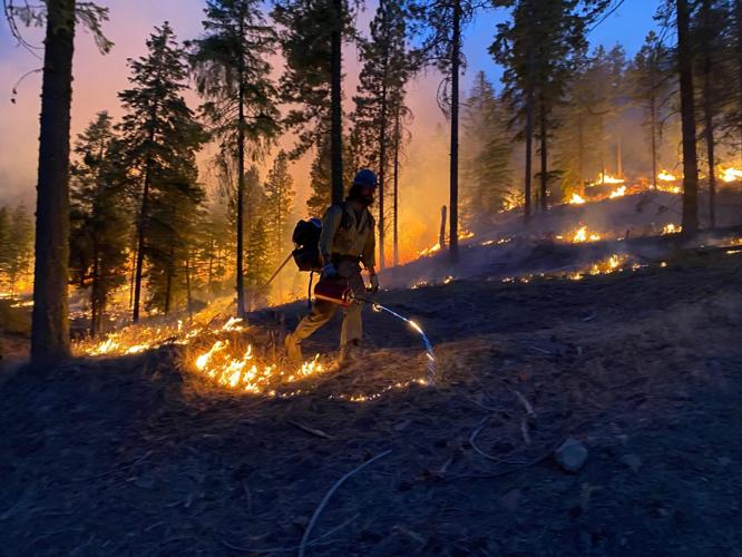 Schneider Springs Fire evacuations reduced as fire tops 80k acres ...