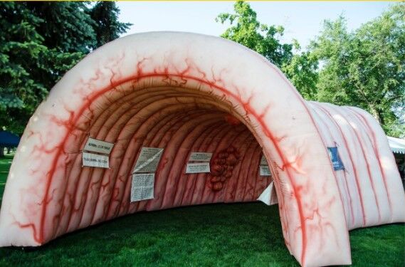 ‘Strollin’ Through A Colon’: Free Kennewick event brings awareness to ...
