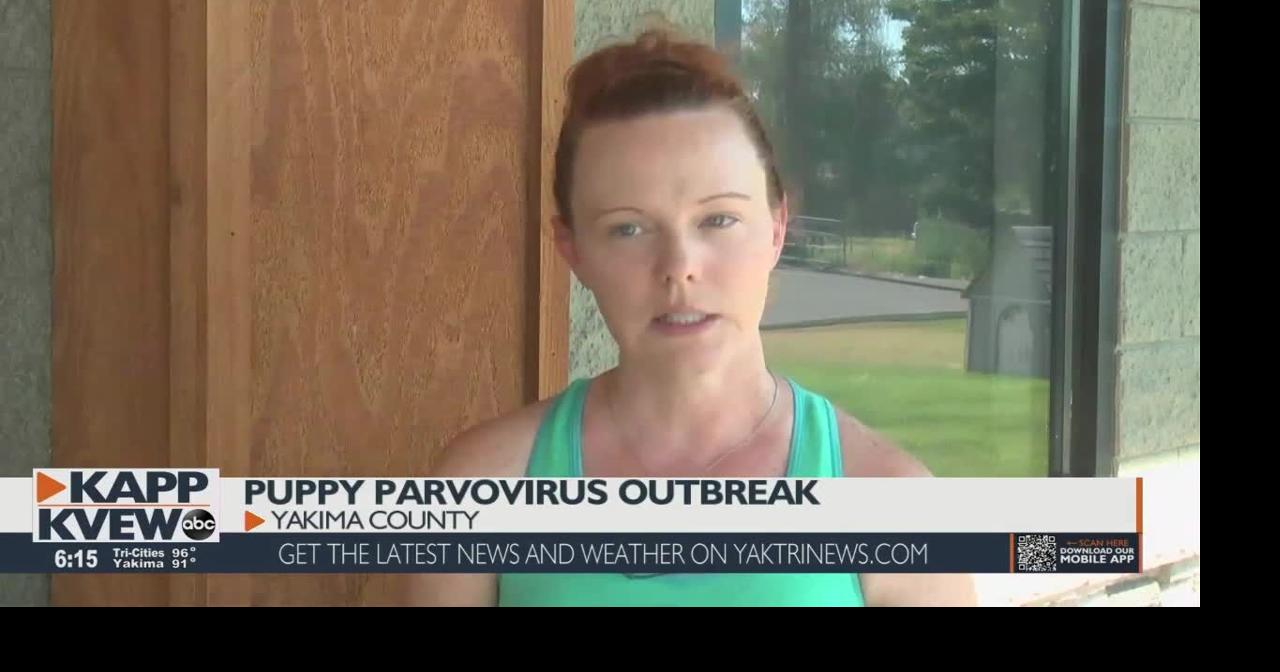 ‘It’s insane’: Puppy parvovirus outbreak hits Yakima animal shelter ...