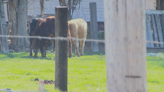 Benton County Conservation District works with farmers to protect water ...
