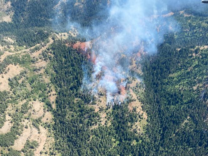 Green Ridge Fire 10% contained across 330+ acres of Umatilla National ...