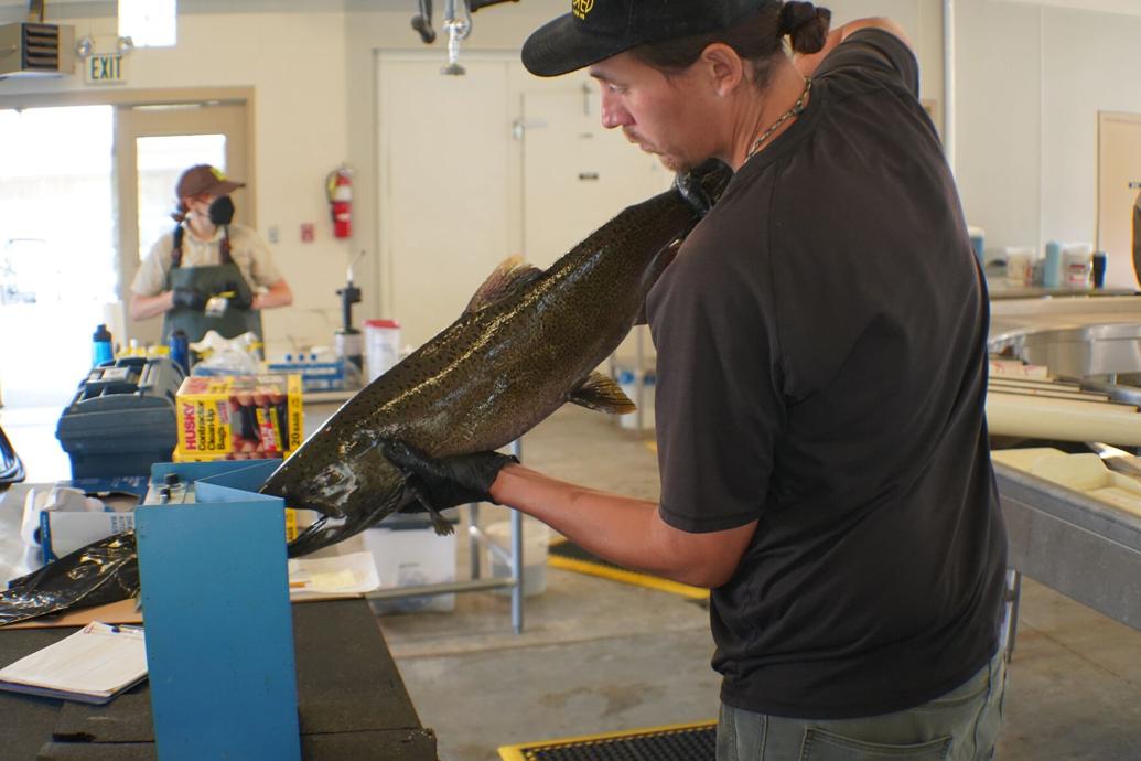 CTUIR to receive nearly $7 million for fish hatchery facility upgrades ...