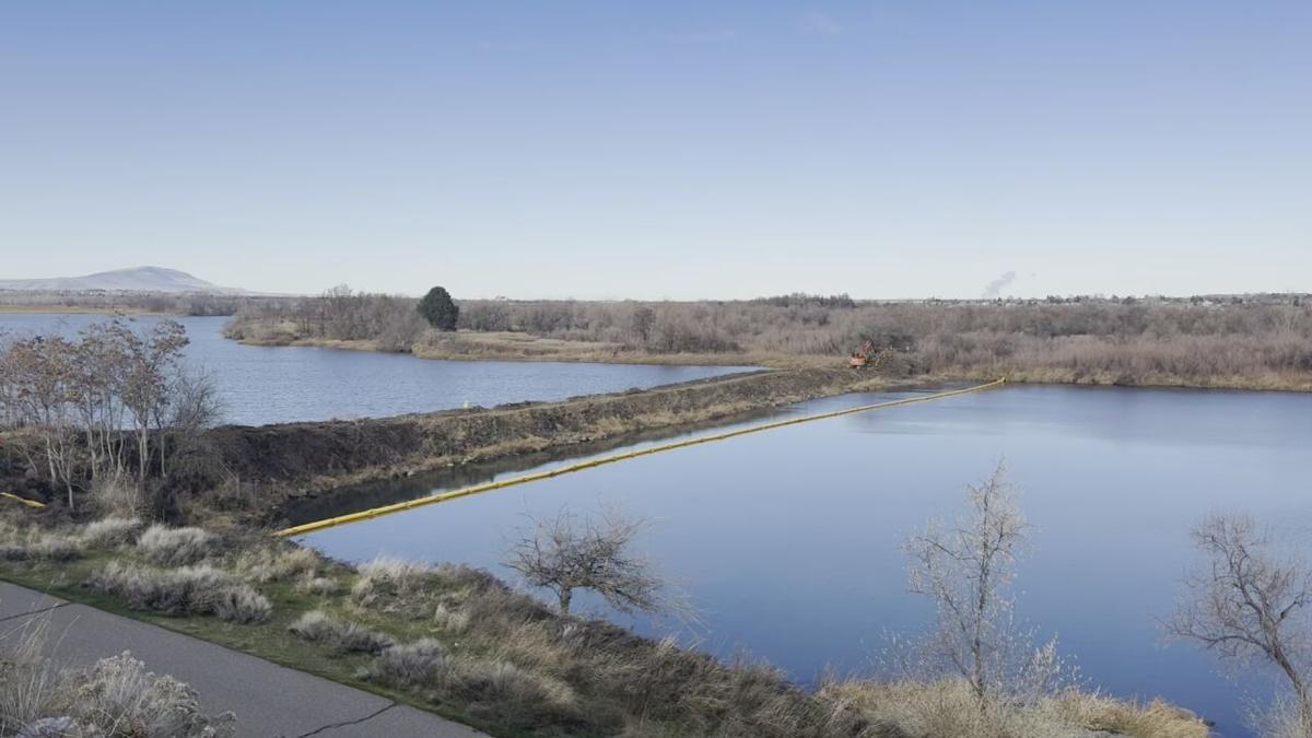 Crews begin removing Bateman Island causeway in Richland ...