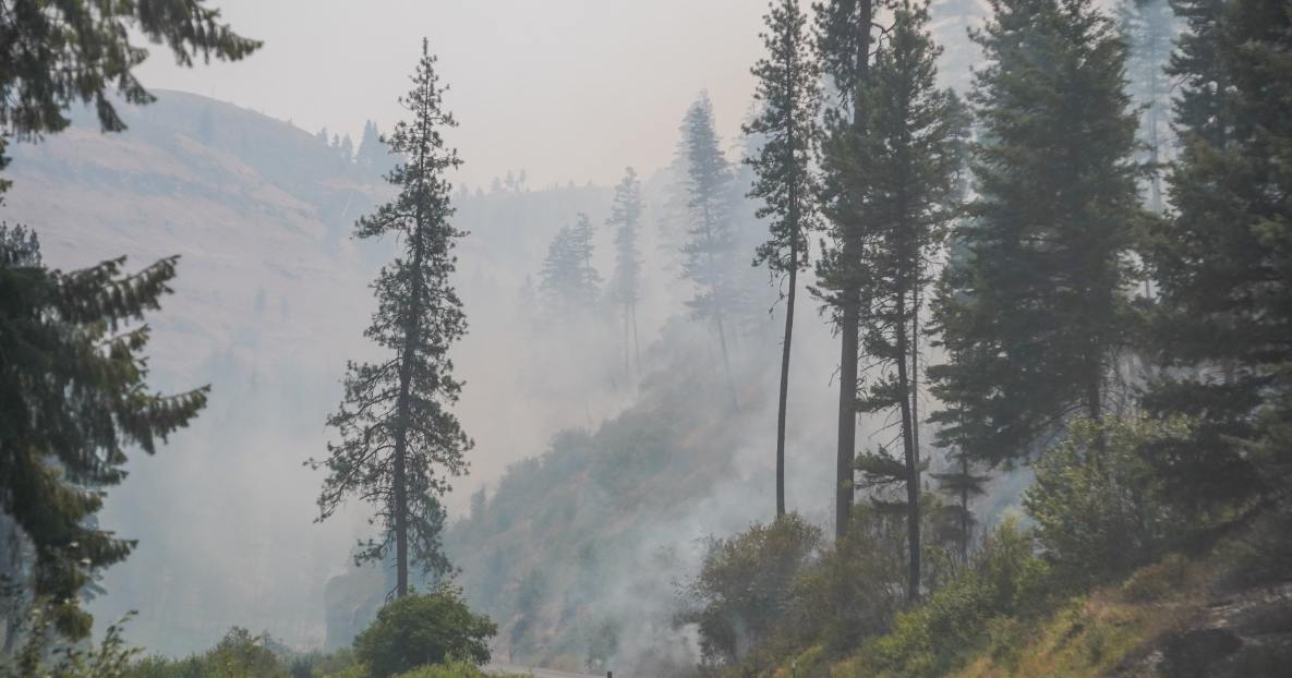 Battle Mountain Complex Fire in Umatilla County grows to more than ...