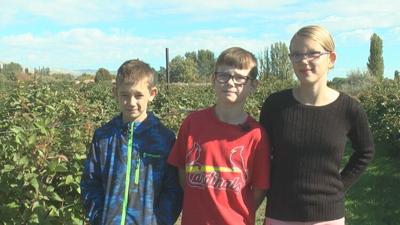 Moxee kids want to expand family’s berry farm | Local News ...