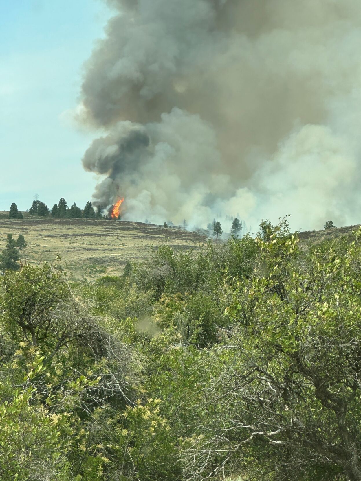 Evacuation notices issued for fire near Colockum Road outside ...