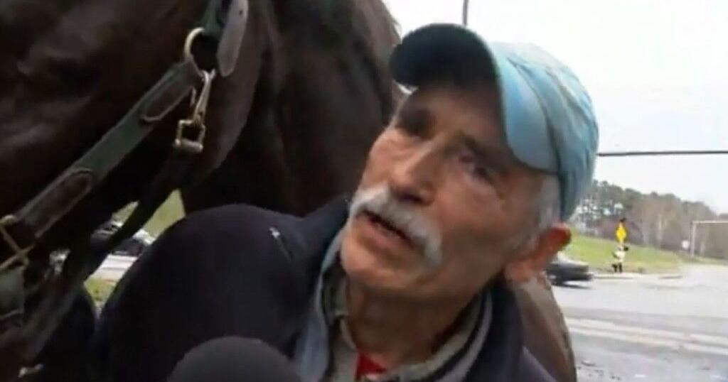 Runaway horses block highway in Georgia | National News ...