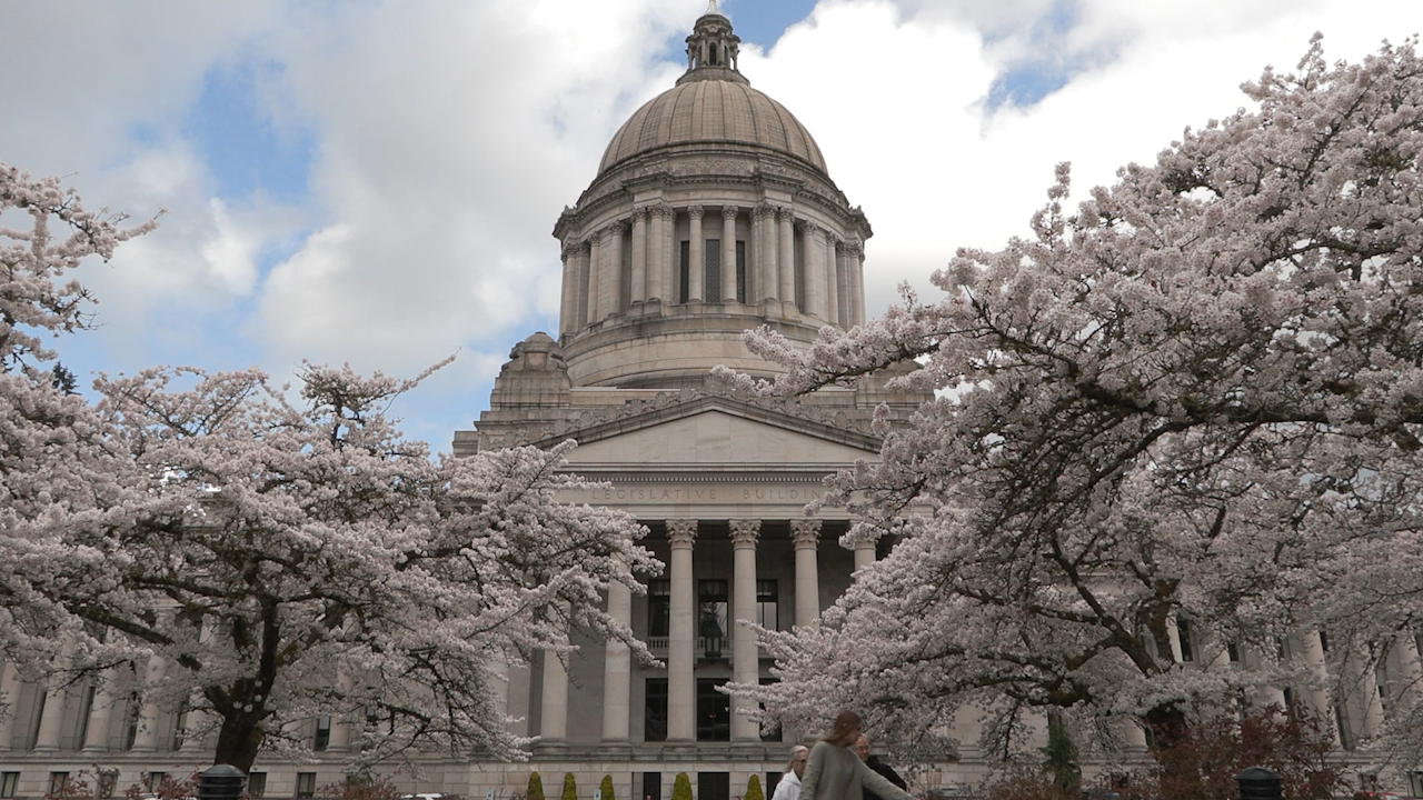 Washington state offers 988 Lifeline license plate emblems for suicide ...