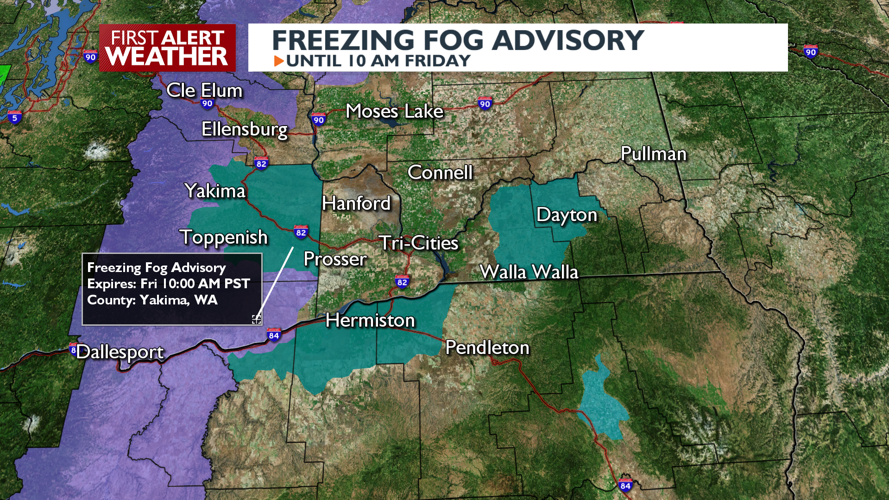 Friday Weather Forecast: Afternoon showers sticking around today ...