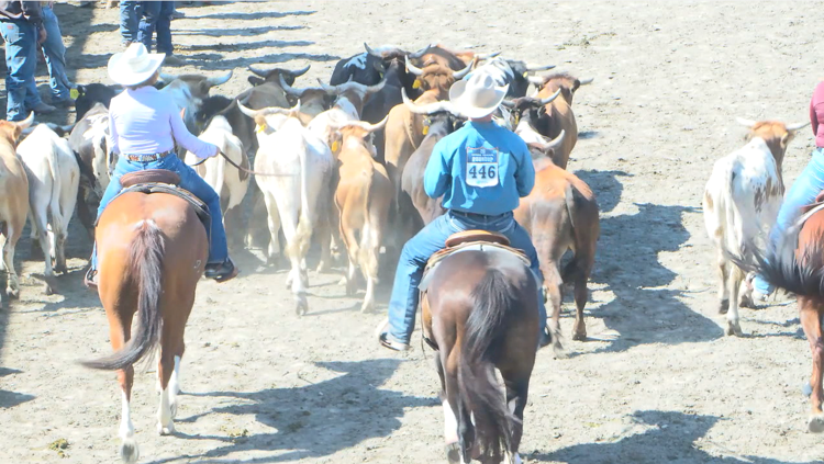 Horse Heaven Round-Up Rodeo Brings Top Athletes to Tri-Cities for ...