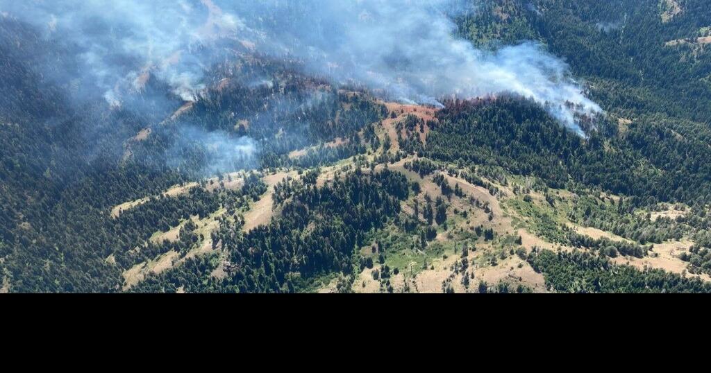 Green Ridge Fire in Umatilla National Forest has burned over 11,000 ...