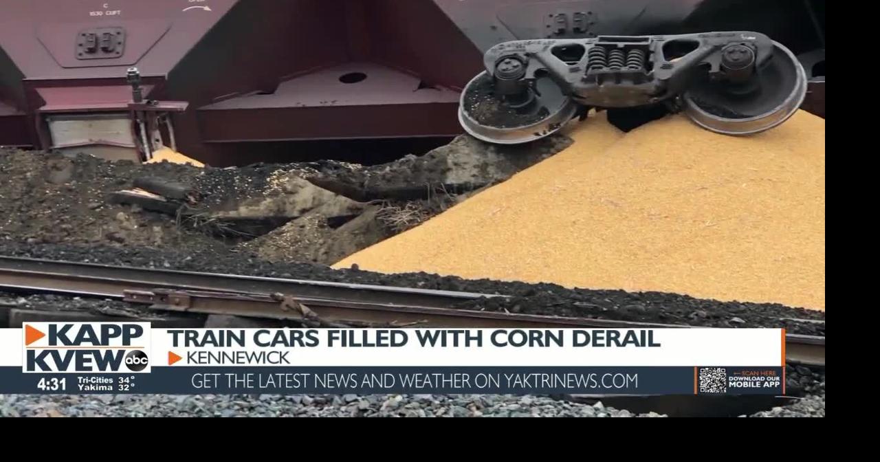 ‘A boon for the pigeons of Kennewick:’ Train cars filled with corn ...