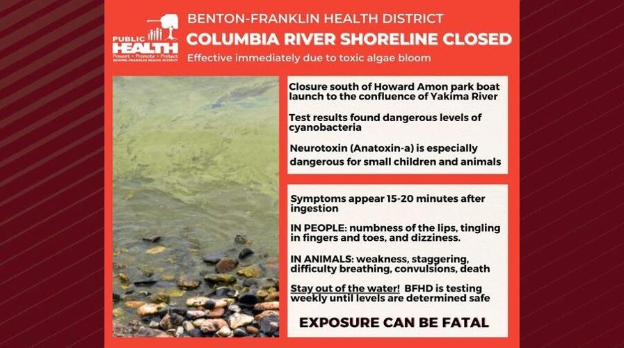 Columbia River shoreline closed; toxic algae found | Health ...