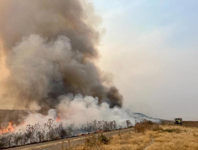 lightning strike wildfire